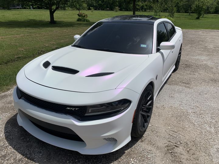 Mardi Gras Car Kit – DipYourCar.com