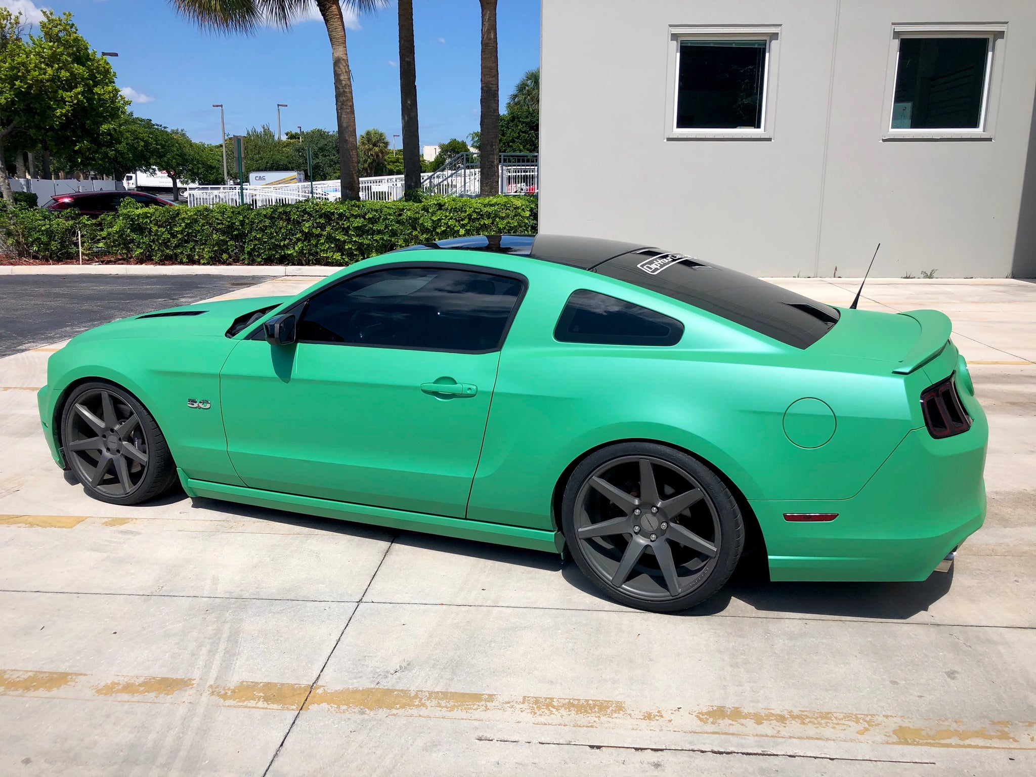 Frosted Pear Car Kit | Performance Series Plasti Dip – DipYourCar.com